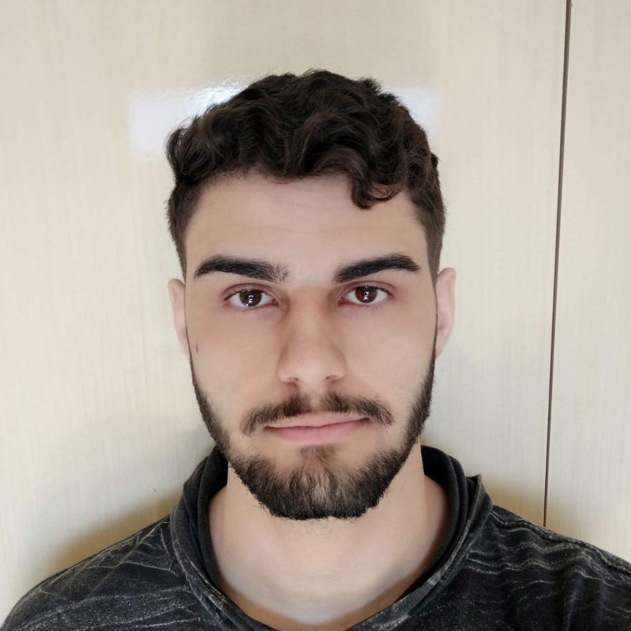 Raul Augusto Portfolio